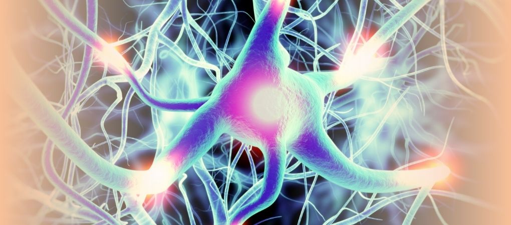 Nevralgia del nervo pudendo - Osteopedia - il portale mondiale dell ...